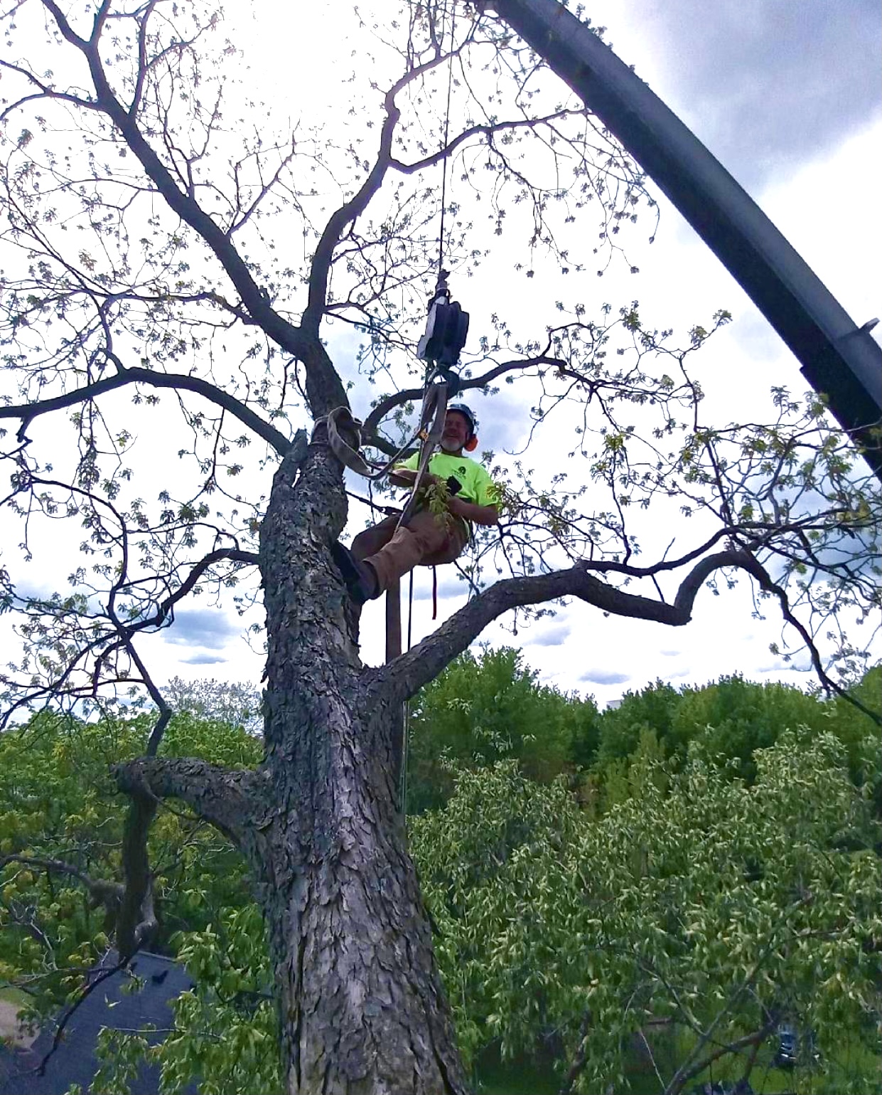 Fairway Tree Service