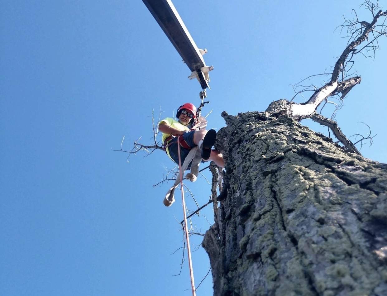 Fairway Tree Service